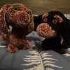 Crochet Dachshund/ Wiener Dog Pattern Amigurumi PDF - Etsy
