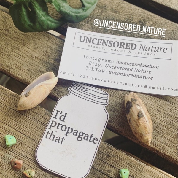 Littlest Pet Shop Custom Panda Bear, Watermelon Bear, Custom Lps ...