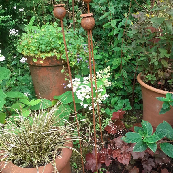 Set of 3 Rusty Poppy Seed Head Pattern Naturally Rusting Ornamental ...