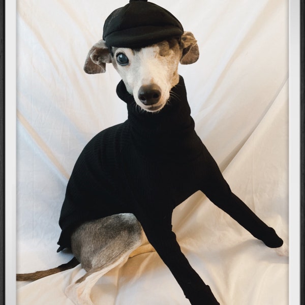 Extra Small or Small Dog Newsboy Cap (hat) - Etsy