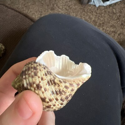 Chinese Hanzi Practice Worksheet With Complete Pinyin Step by Step ...