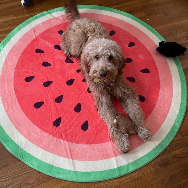 Watermelon Rug - Playroom Decor - Play Mat Rug - Etsy