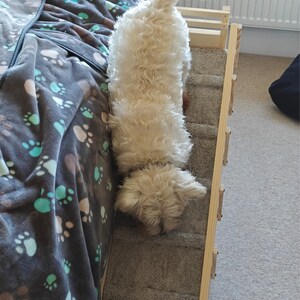 Pet Ramp With Foldable Rails Extra Front Rail - Etsy