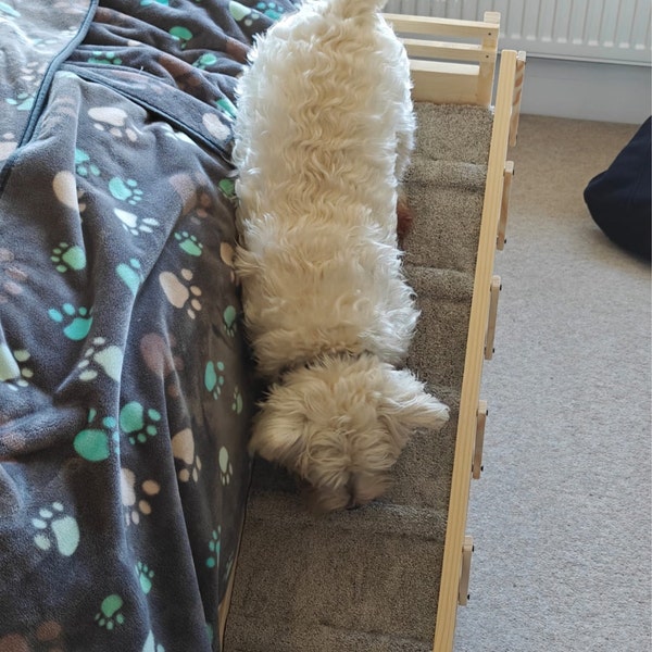 Pet Ramp With Foldable Rails | Extra Front Rail - Etsy