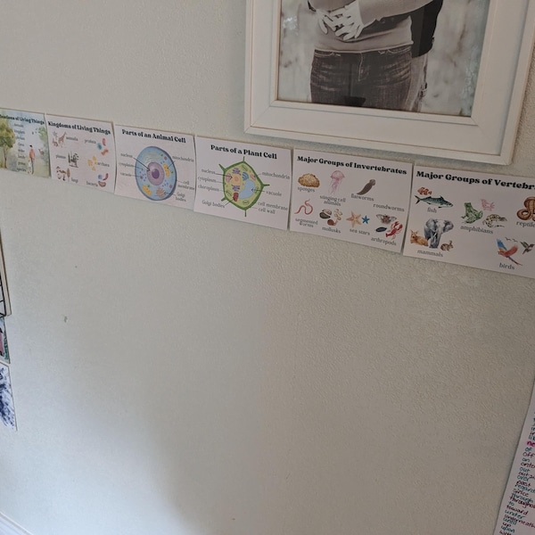Cycle 3 History Memory Cards - Etsy