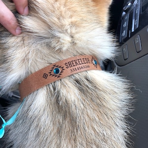 Dog Neck Band With Name. Custom Pet Id. Engraved Dog Collar. - Etsy