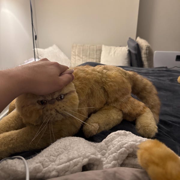 Plush Black Scary Cat Halloween Decor - Etsy