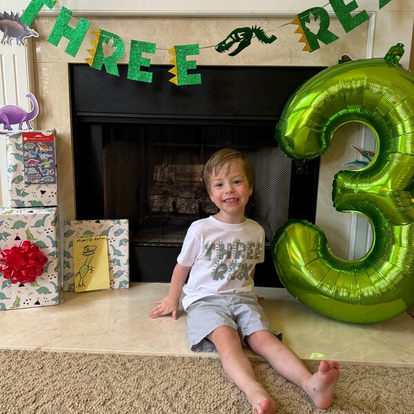 Three Rex Birthday Shirt 3rd Birthday Shirt Dinosaur Birthday Boys T ...