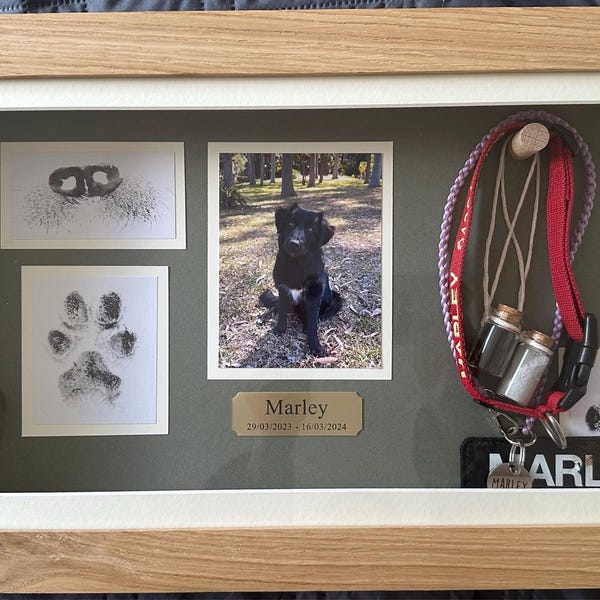 Pet Memorial Shadow Box Frame – Panoramic Wood Keepsake, Pet Loss Gift ...