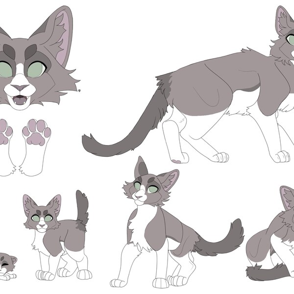 Warriors Reference Sheet Base | Feline & Cat Lineart, Base (retired ...