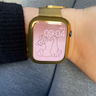 Highland Cow Apple Watch Wallpaper, Cute Cow Apple Watch Face, Floral ...