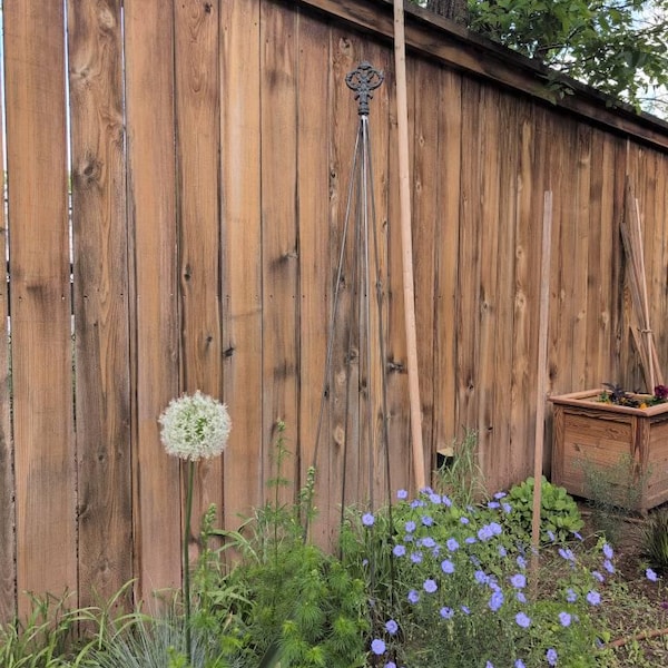 Set of 3 - 40" Ball Garden Stakes With Tie Loop - Garden Stakes - Plant ...