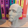 Female Realistic Head Bust Portrait Reference Tool Multiple Sizes - Etsy