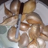 Garlic Elephant Seed:0.15 OZ About 11 to 15 Cloves Organic Fresh Seeds ...