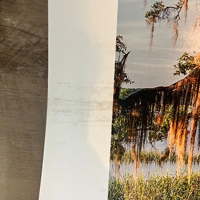 Low Country Classic Southern, Fine Art Film Photography, Spanish Moss ...