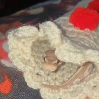 Teal White and Orange Tortoise Diaper - Etsy