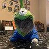 Alien Dog Costume, Toy Story Alien Dog Outfit, Halloween Dog Outfit ...