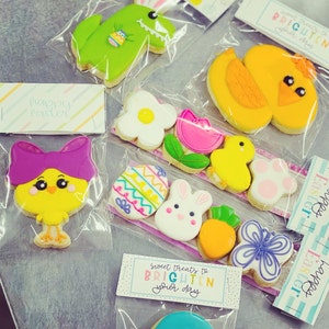 Printable Spring DIY Cookie Kit Instruction Card Black Piping | Etsy