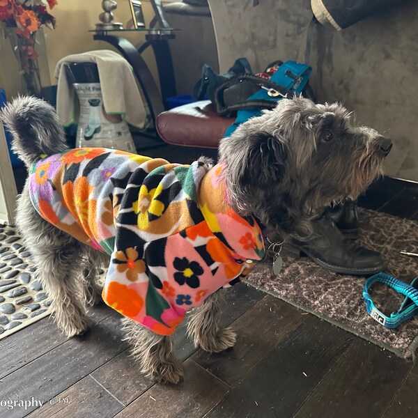 Dog Pajamas Pitbull, Large Dog Clothes, Big Dog Clothes, Fleece Dog ...
