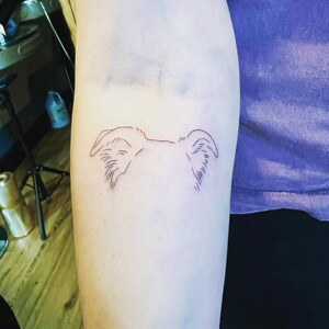 44 Dog Breed Line Drawing Clip Art and Stamps for Procreate | Etsy