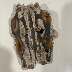 Unopened Brazilian Enhydro Geode - Etsy