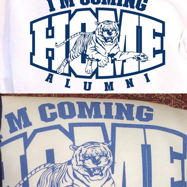 AKA Sweatshirt, AKA Homecoming, HBCU Alumni, Black College, Black ...