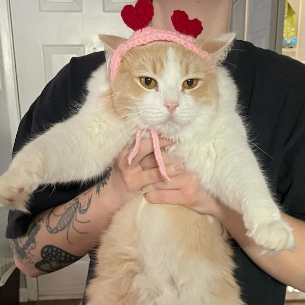 Crochet Pattern: Valentines Day Heart Headband for Cats With Ear Holes ...