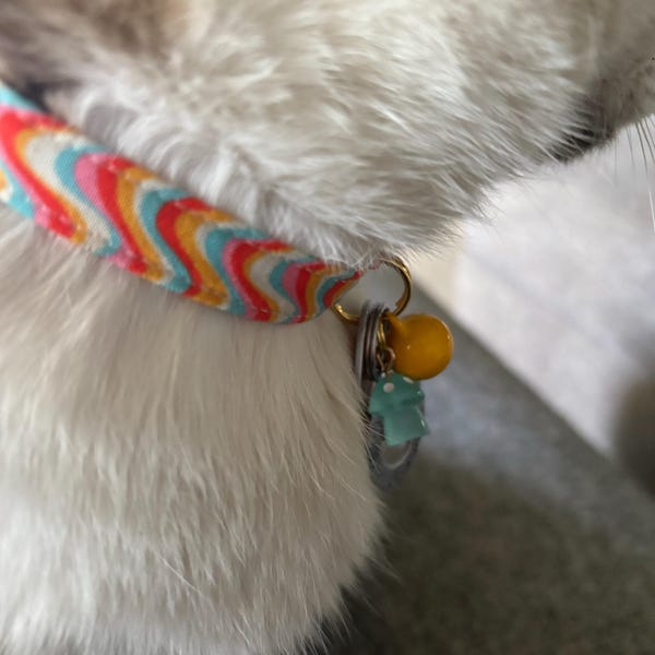 Pink Daisy Cat Collar, Y2k Floral Cat Collar Breakaway, Cute Girl ...