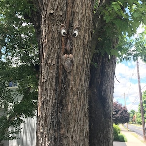 Mr. Grumpy Stump Tree Face Fun Birthday Gifts Made in - Etsy Canada