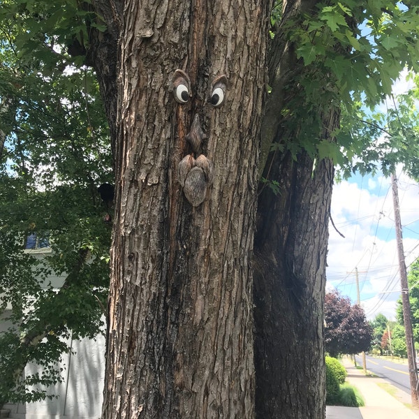 The ORIGINAL & GENUINE Mr. Grumpy Stump Tree Face Gift for Dad Fun ...