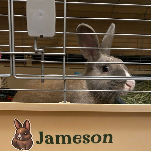 5x Custom Bunny Stickers - Customized Rabbit Gift, Custom Rabbit Art ...