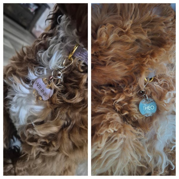 Custom Dog Tag/ Resin Dog Identification / Personalised Dog Tag / Resin ...