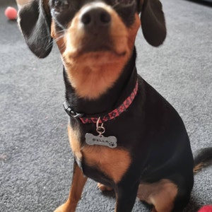 Black ST Badge Front and Rear Available Union Jack Domed - Etsy