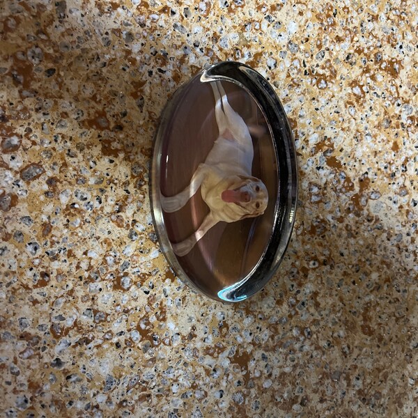 Koi Paperweight, Water Lily Paperweight, Fish Paperweight, Large Round ...