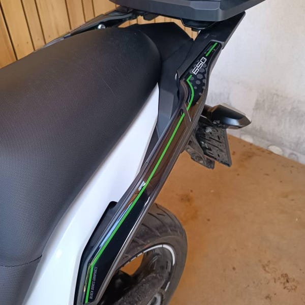 3D Resin Stickers Engine Guards Compatible With Kawasaki Ninja 1000 SX ...