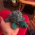 Knitted Tiny Turtle Pattern, PDF Pattern, Knitting Pattern, DIY, Amigurumi, Knitted Turtle ...