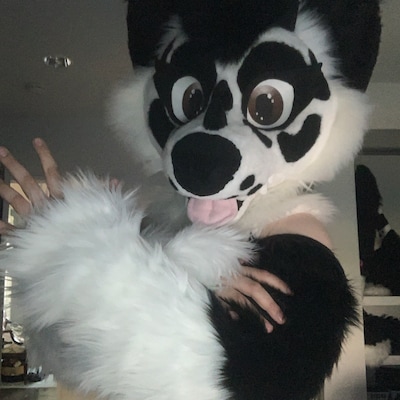 Custom Furry Fursuit Armsleeves 1 Pair up to 2 Fur Colours - Etsy