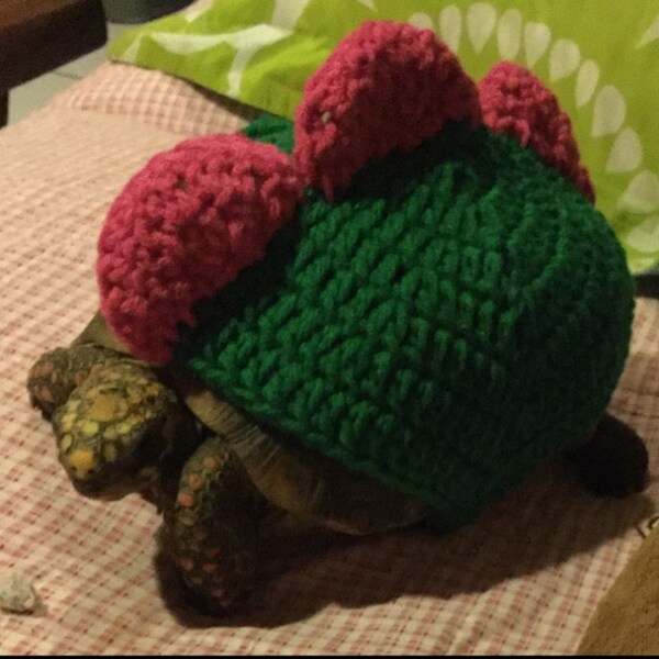 Tortoise Sweater-stegatortoise, Turtle Costume, Pet Costumes, Tortoise ...