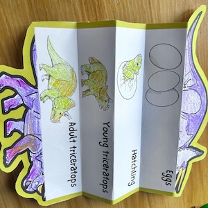 Foldable Bee Life Cycle Learning Activity for Kids A4 and 11x8.5 Inch ...