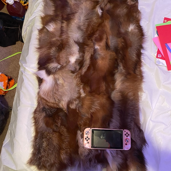 Springbok Skin Natural Springbok Skin XXL Size Tanned Springbok Hide ...
