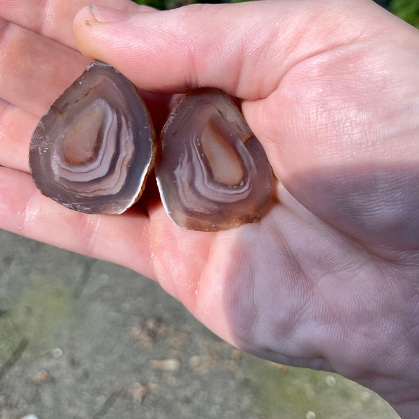 Laguna Crazy Lace Agate (tumbled Shapes) - Etsy