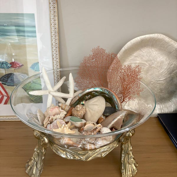 Seashell - Large White Cardium Pseudolima Shell Pair - 3.75" Beach ...
