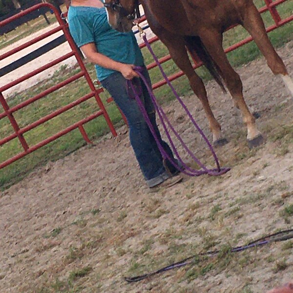 12' LEAD ROPE W/ Parelli Snap for Natural Horse Training - Etsy