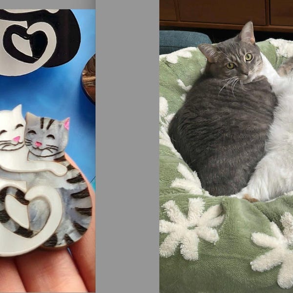 A Purrfect Match Cats Hugging Mini Brooch Necklace - Etsy