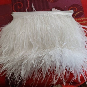 80 Colours Long Stripped Ostrich Spine Quill Feather for - Etsy