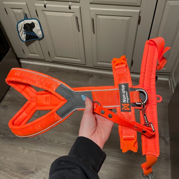 Trailblazer Customizable Braided Biothane® Dog Leash, Dog Lead ...