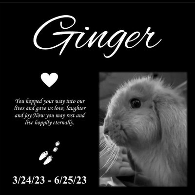 12x12 Personalized Pet Headstone, Goat, Cow, Horse, Pig Farm Tombstone ...