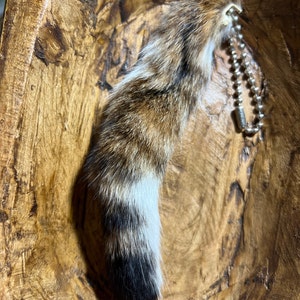 Genuine Bobcat Tail Keychain CHOOSE SIZE - Etsy
