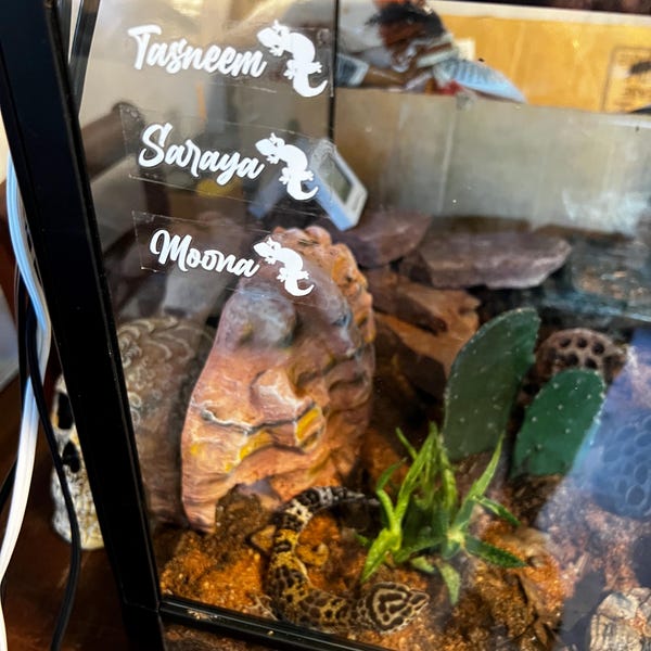 Rat Dress for Rat Crochet Dress for Pet Rat Sweater for Fancy Rat ...