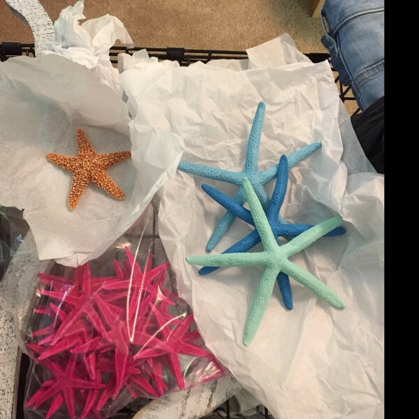 Painted Starfish - 6-7"-set of Three-robins Egg-aqua-turquoise-starfish ...